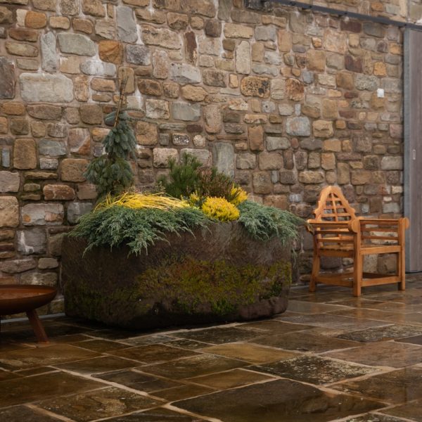 WillMow - Reclamation and Salvage